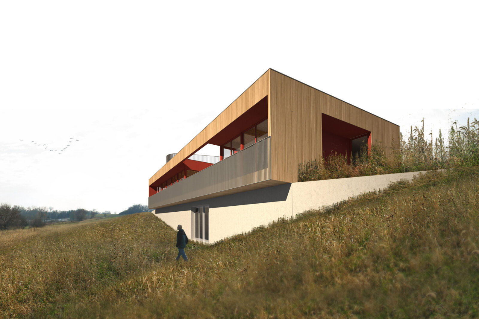 Wide Open House - Actual Architecture