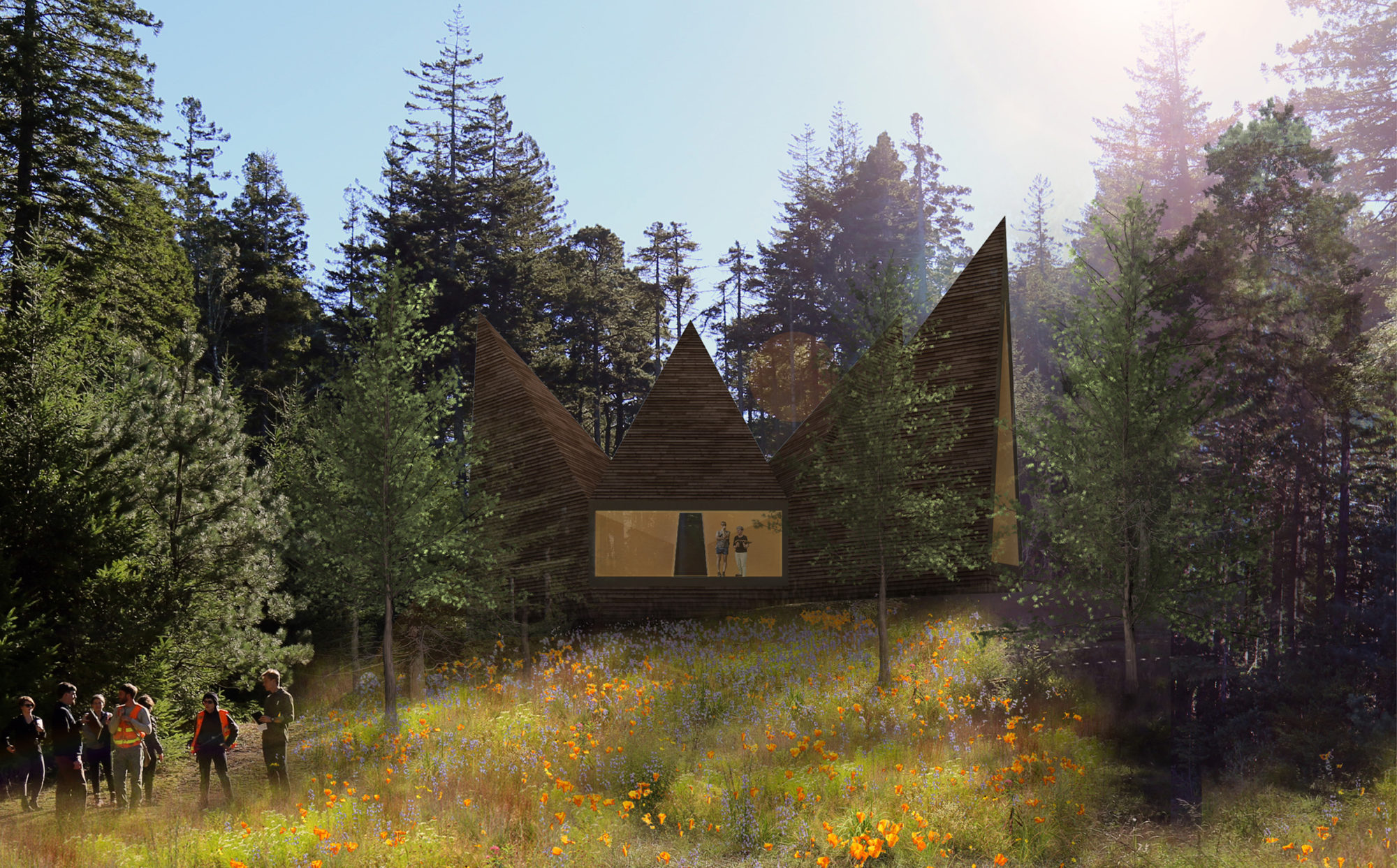 Better Place Forests - Actual Architecture